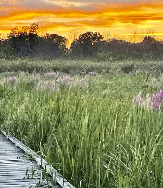 adventures state park wisconsin ftr