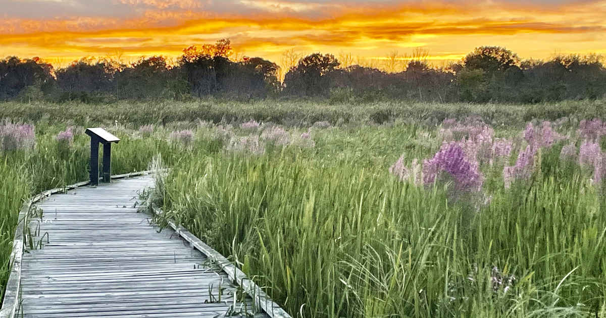 This Breathtaking Wisconsin State Park Is Ideal For Easy Day Trip ...