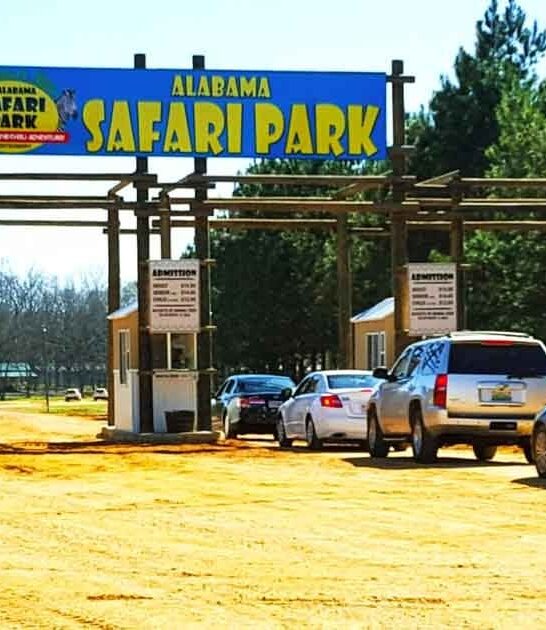 alabama safari park exotic ftr