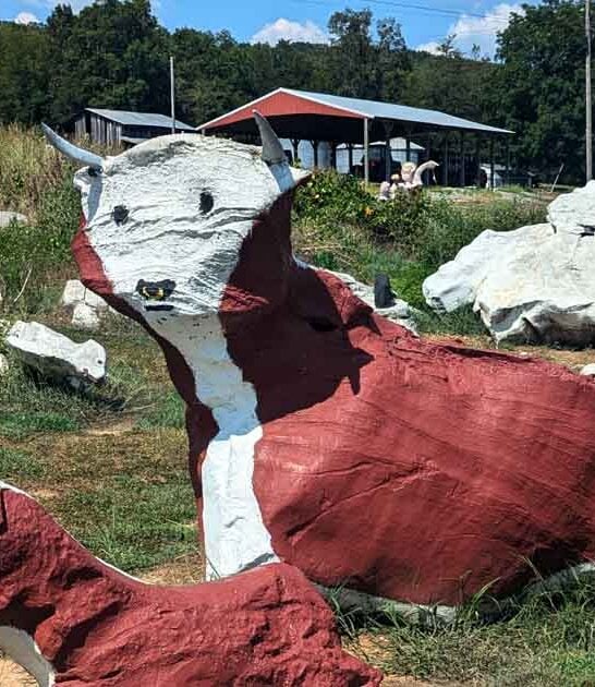 alabama unusual spot ftr