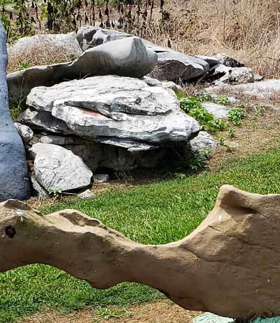 alabama weird spot ftr