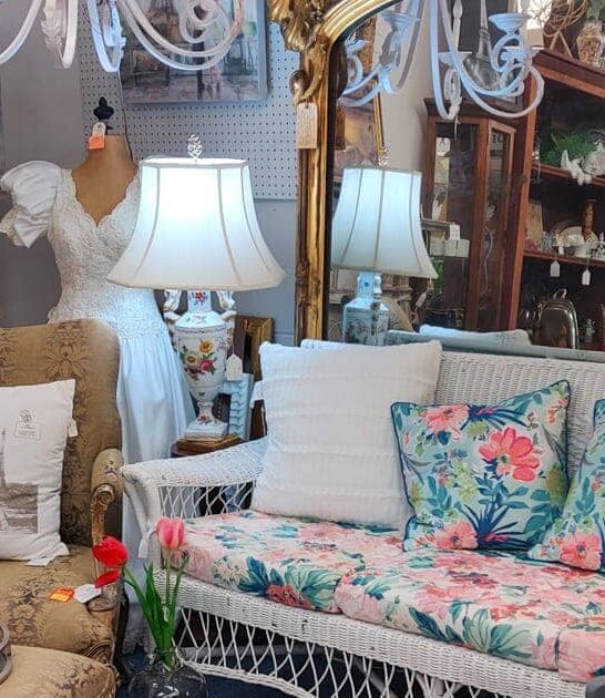 antique store georgia collectors ftr