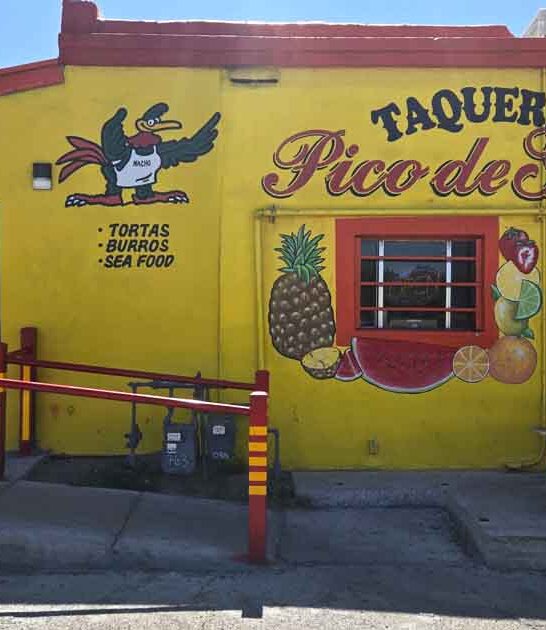 arizona authentic mexican tacos ftr