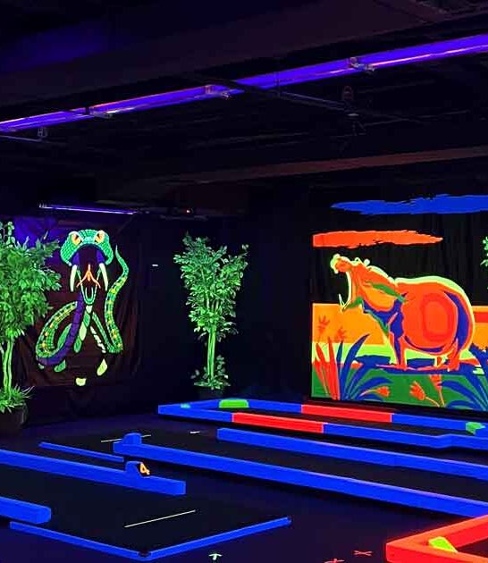 arizona blacklight golf course ftr