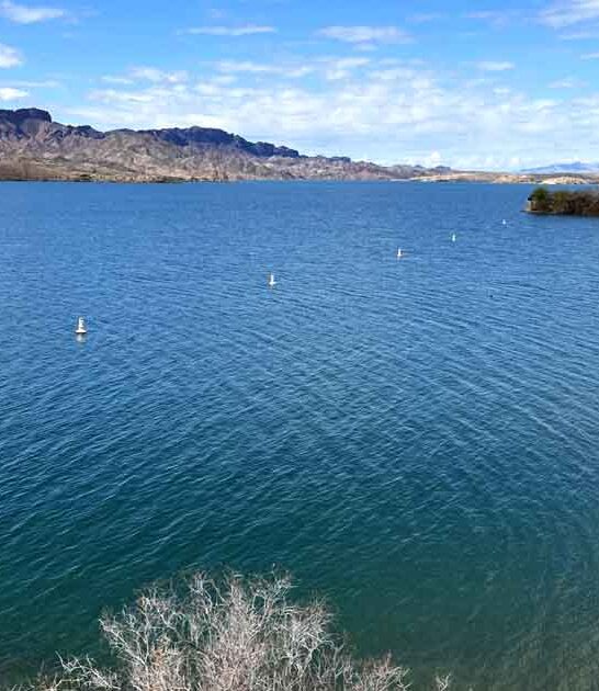 arizona disconnect park state ftr