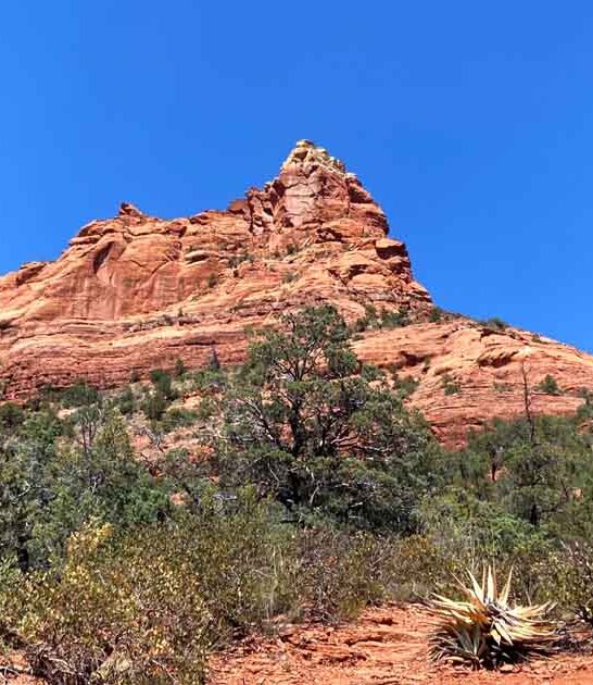 arizona evening trail adventures ftr