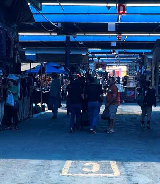 arizona flea markets treasure ftr