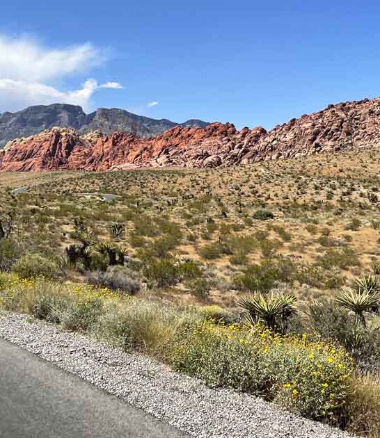 arizona glowing red rocks ftr