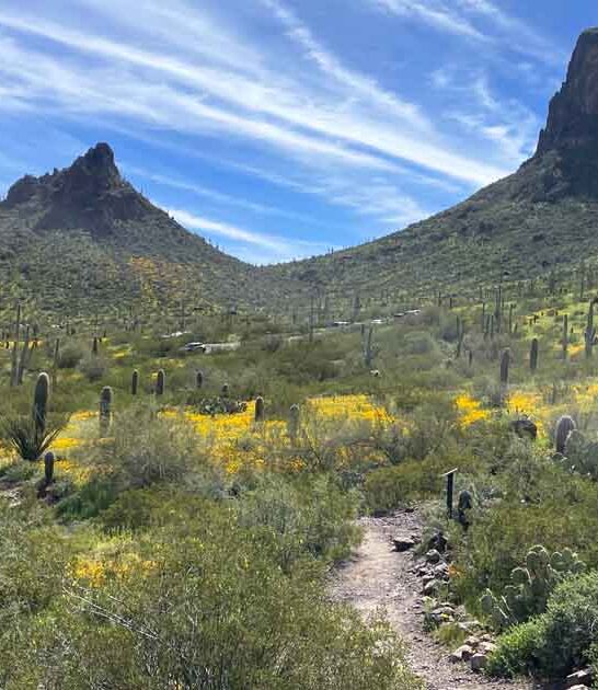 arizona gorgeous breathtaking park ftr