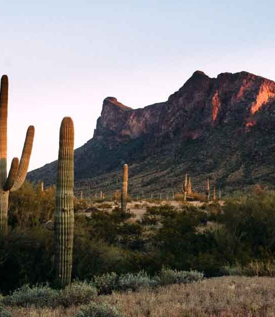 arizona gorgeous postcard park ftr