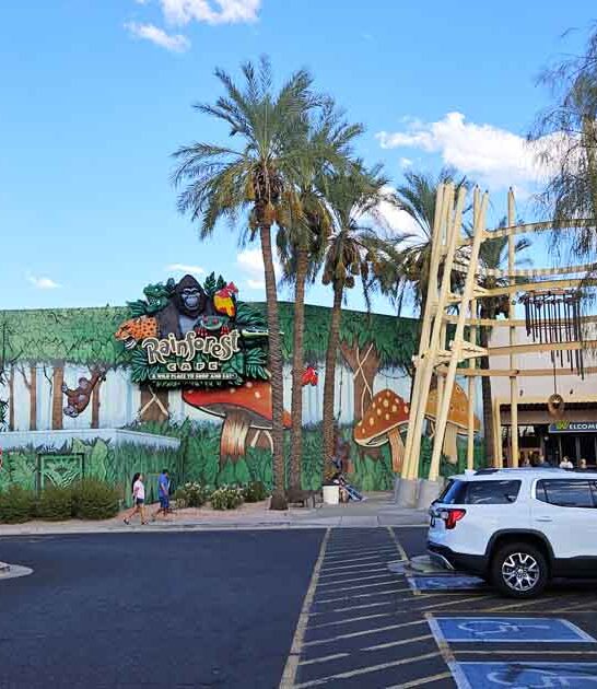 arizona immersive restaurant ftr