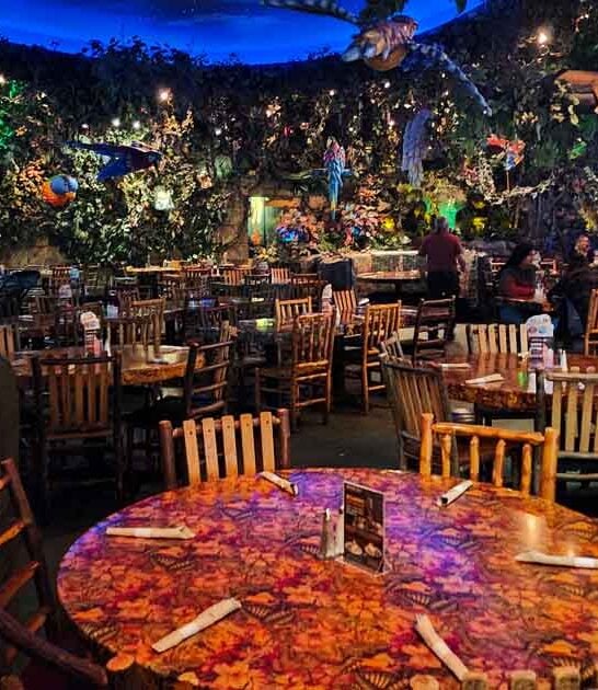 arizona jungle themed restaurant ftr