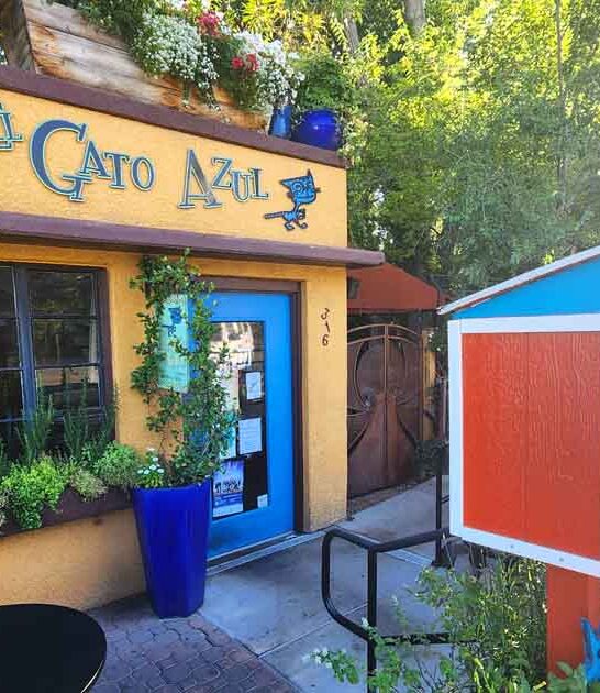 arizona most amazing tapas ftr