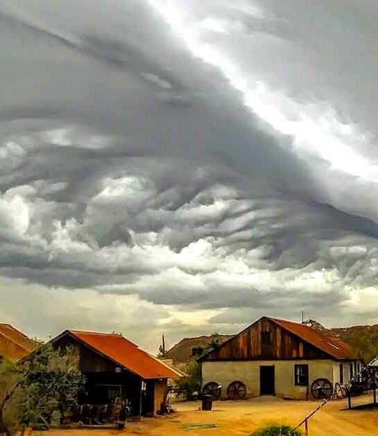 arizona old town west ftr