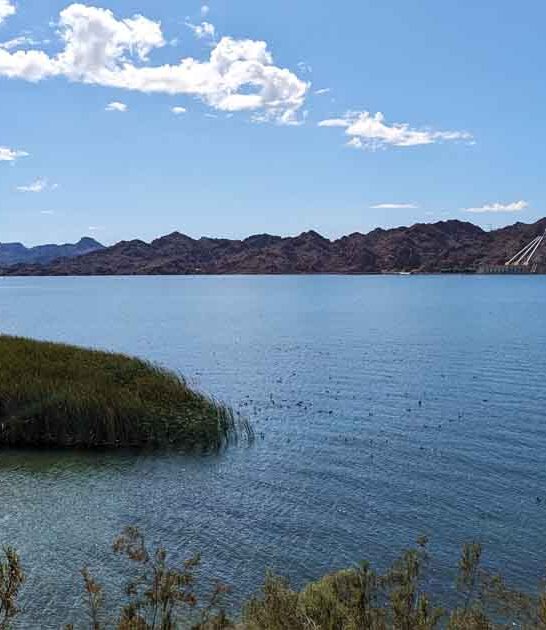 arizona park worth state ftr