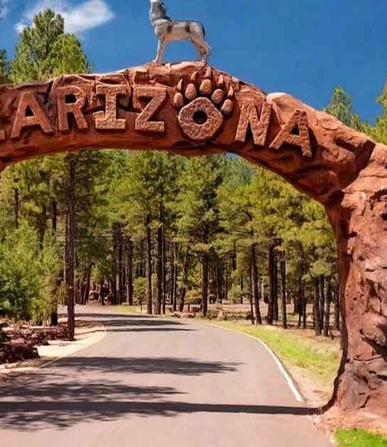 arizona safari park offers ftr