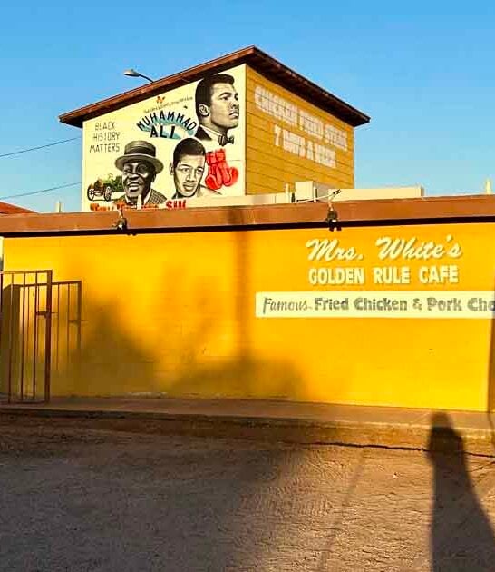 arizona spot best food ftr