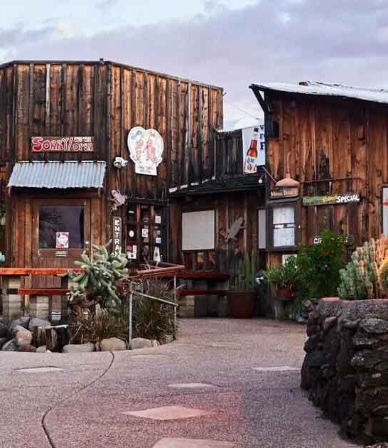 arizona top fried chicken ftr