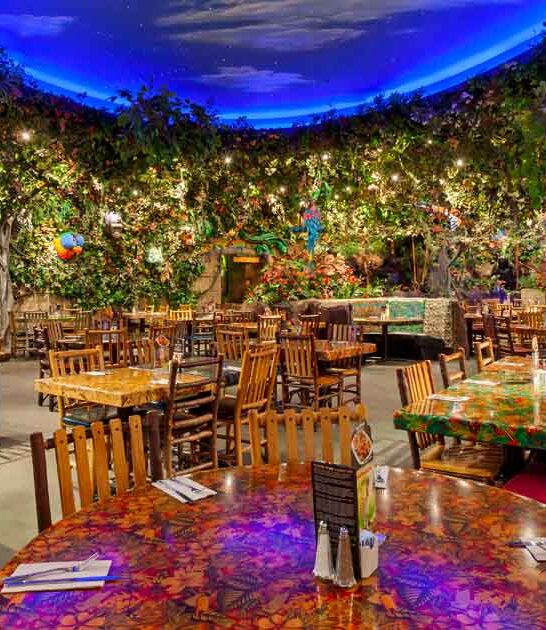 arizona tropical paradise restaurant ftr