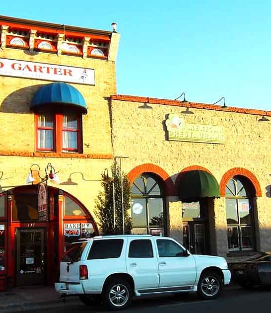 traveler digital camera