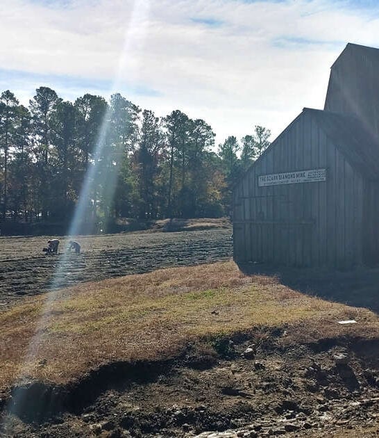 arkansas quarry state park ftr