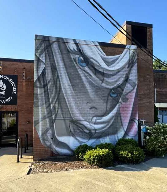 back ribs north carolina ftr