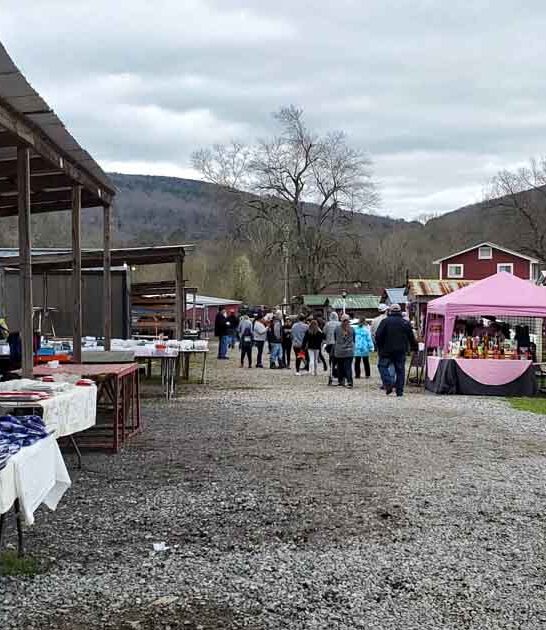 backseat alabama markets bargains ftr