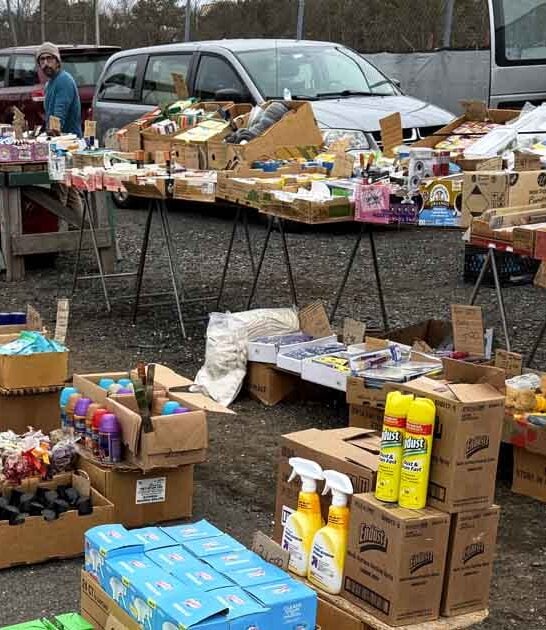 backseat bargains new jersey ftr