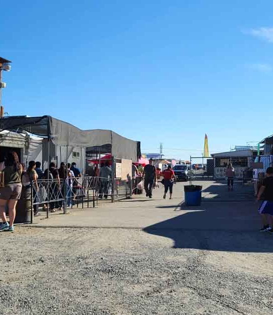 backseat bargains washington market ftr