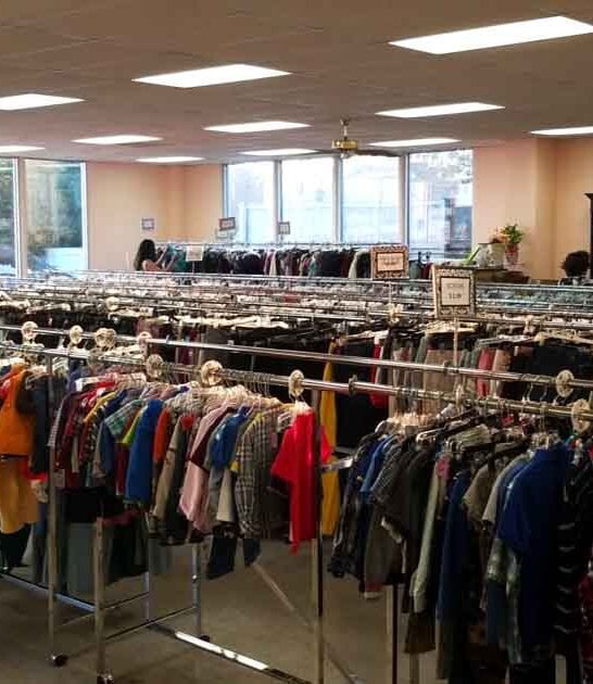 bargain hauls south carolina ftr