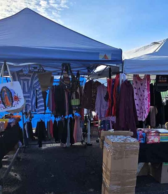 bargain hunters new jersey ftr