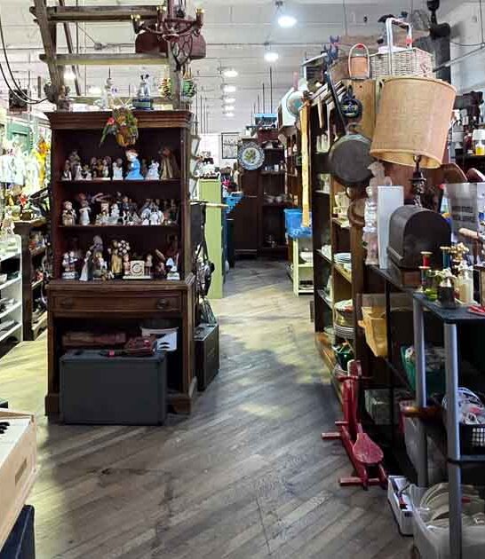 bargains connecticut treasure thrift ftr