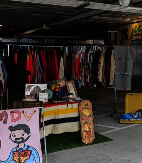 bargains oregon backseat flea ftr