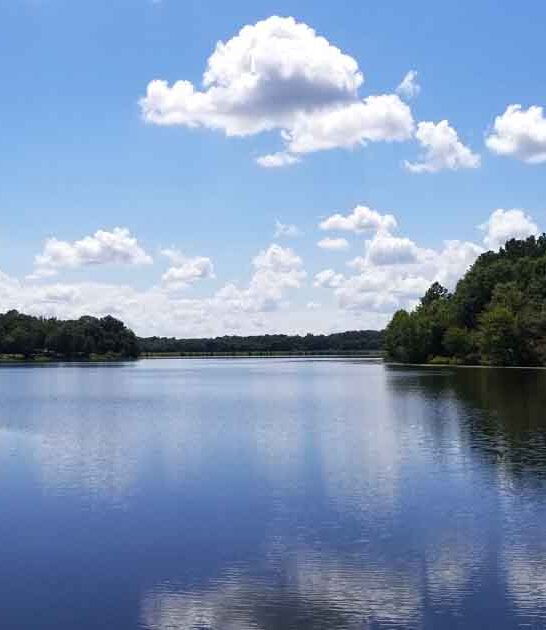 beautiful park alabama unreal ftr