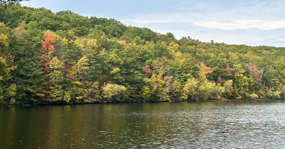 The Gorgeous State Park In Connecticut That's Too Beautiful To Keep Secret