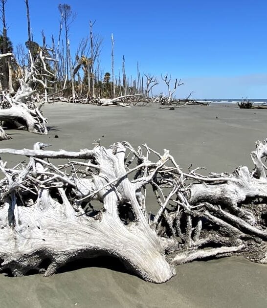 beautiful south carolina beach ftr