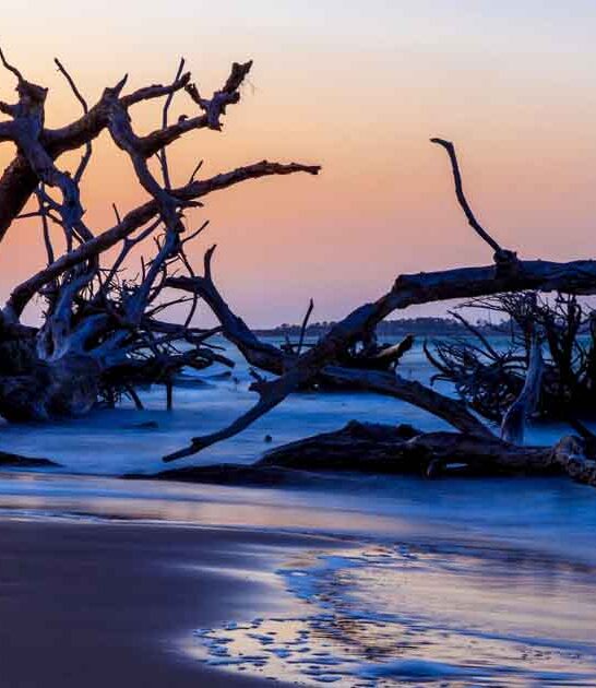 believe beautiful beach florida ftr