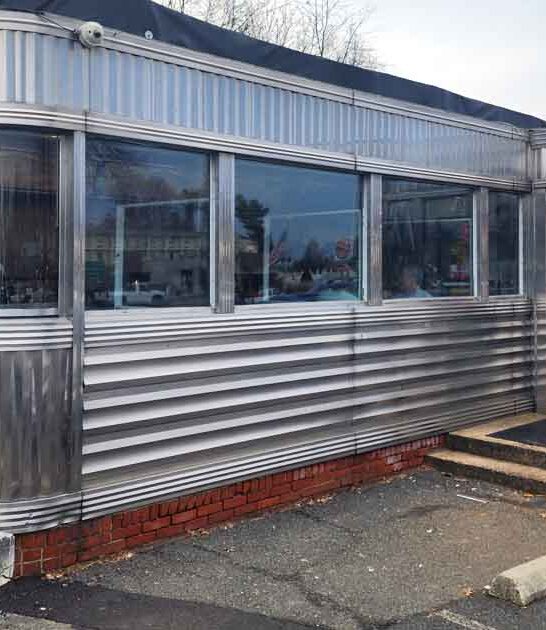 best chicken diner virginia ftr