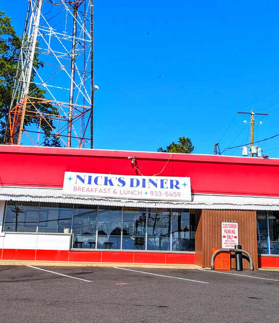 best gyro diner maryland ftr