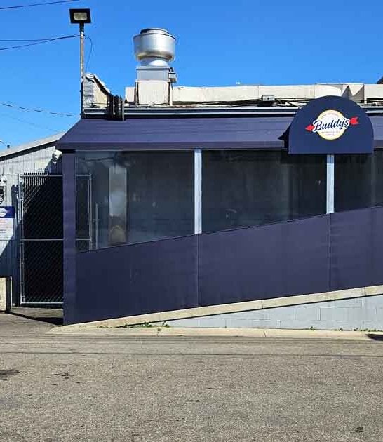 best pizza restaurants michigan ftr