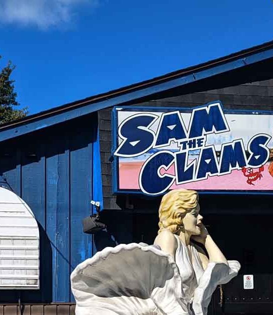 best shack connecticut lobster ftr