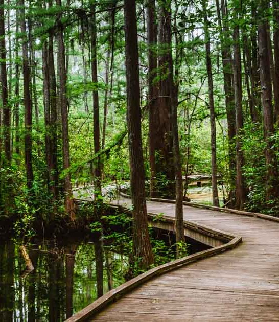 boardwalk south carolina park ftr