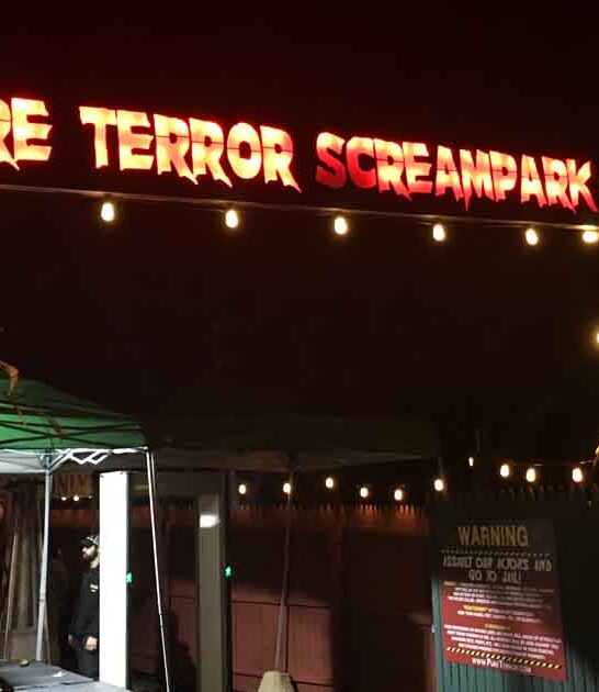 brave attraction new york ftr