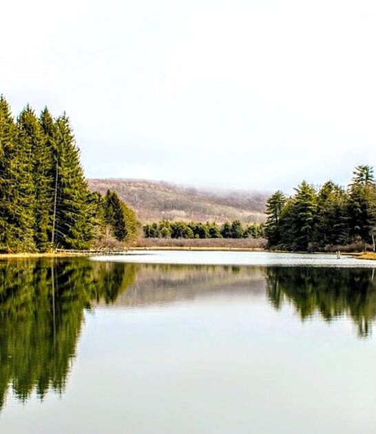 breathtaking maryland park ftr