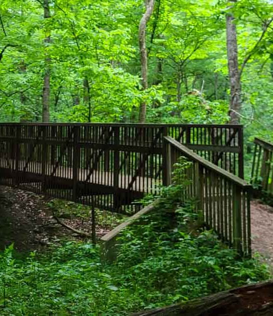 breathtaking state parks illinois ftr