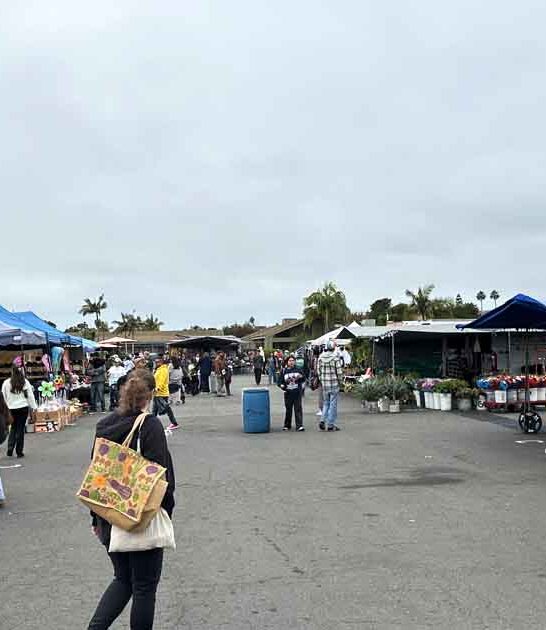 california absolute treasure troves ftr