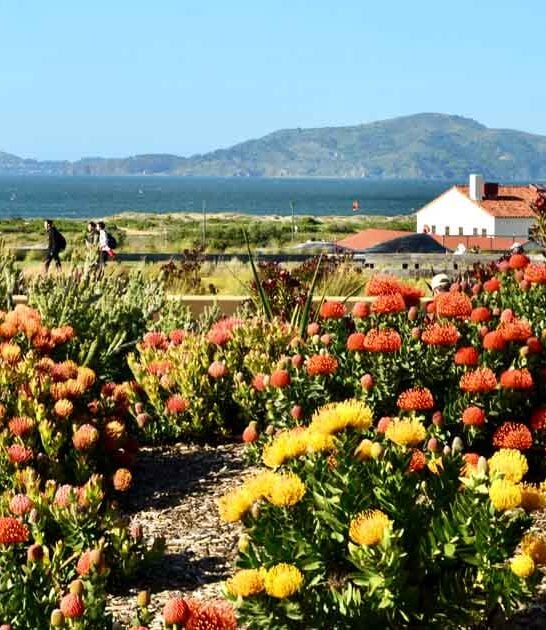 california breathtaking rooftop park ftr