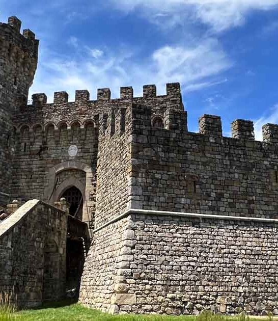 california home castles storybook ftr