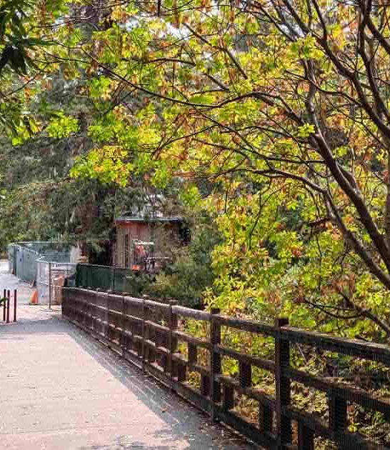 california little known garden ftr