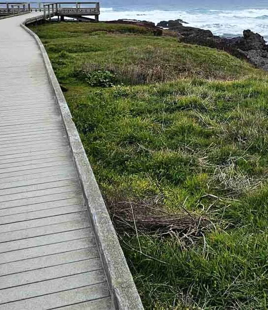 california parks rival national ftr